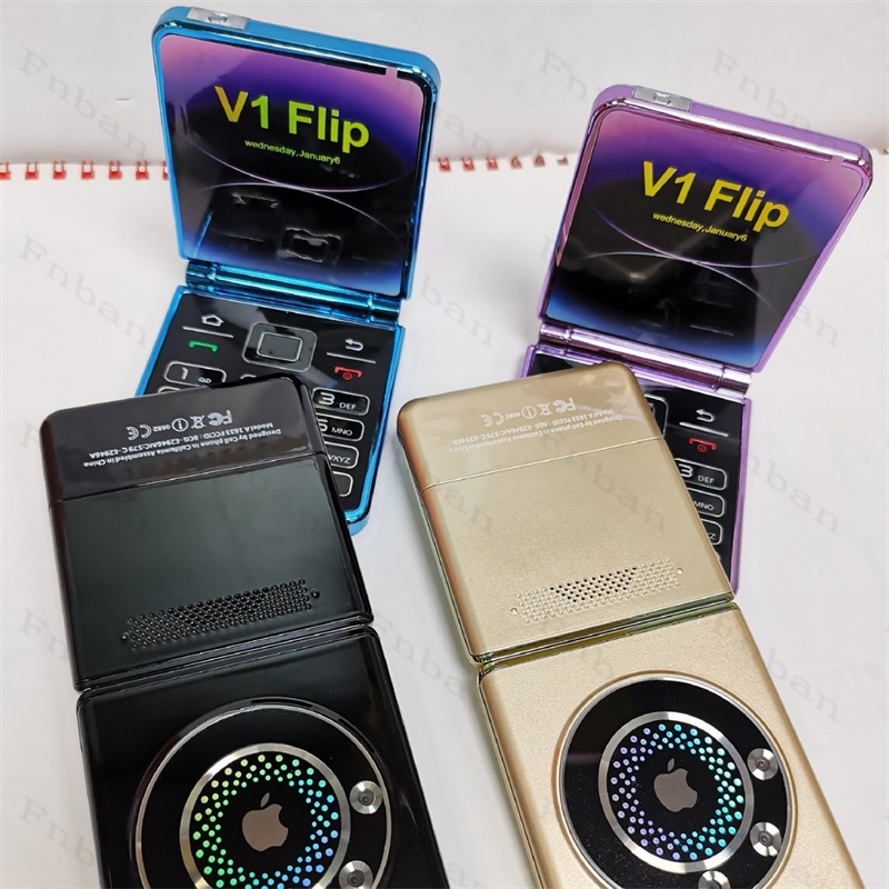 V1 Flip